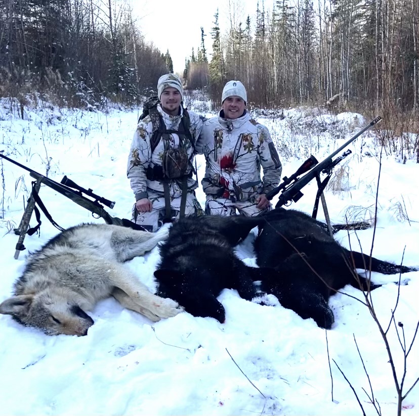 Alberta Wolf Hunt and Trapline Experience - Gerhart Outdoors