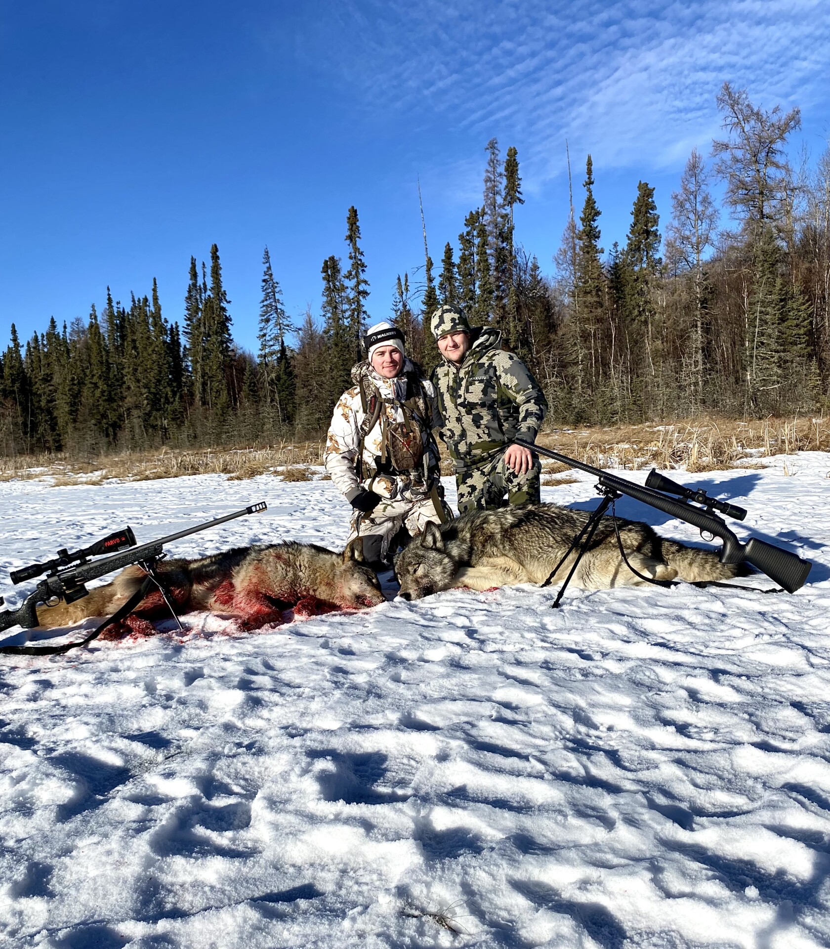 Alberta Wolf Hunt and Trapline Experience - Gerhart Outdoors
