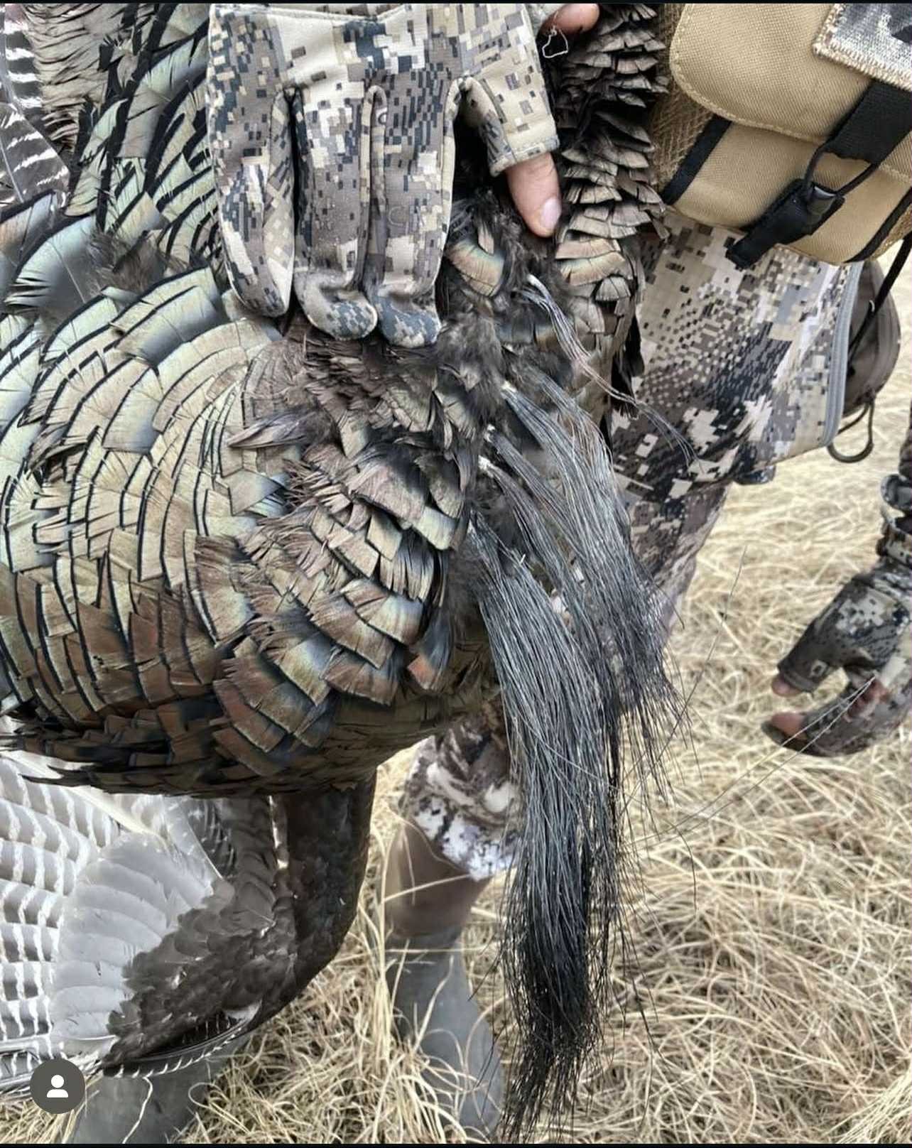 Eastern Turkey in Kentucky - Gerhart Outdoors