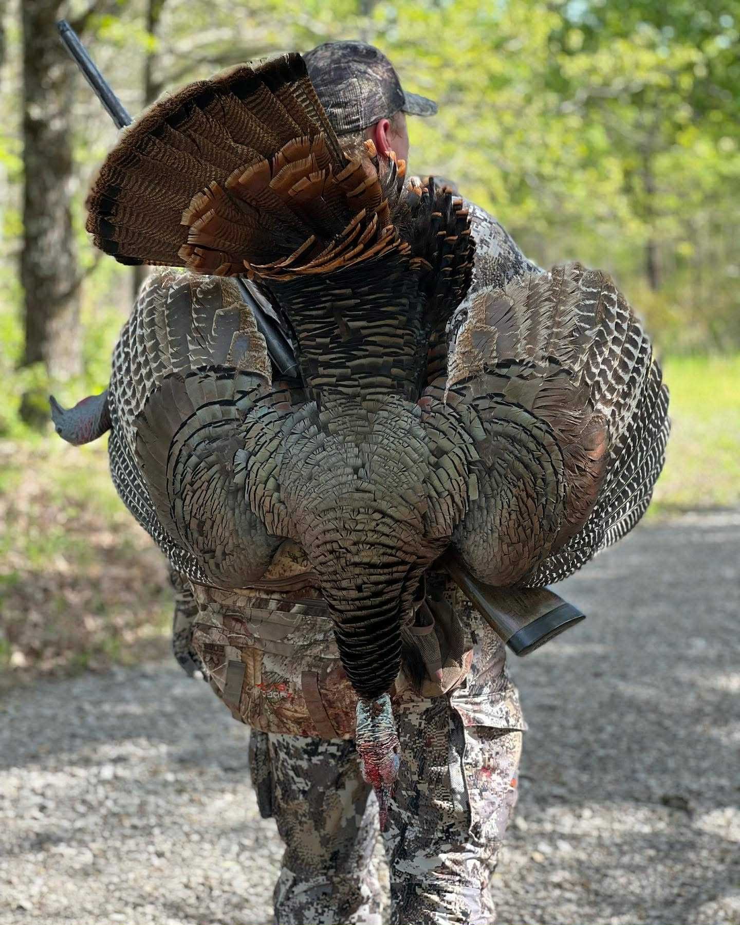 Eastern Turkey in Kentucky - Gerhart Outdoors